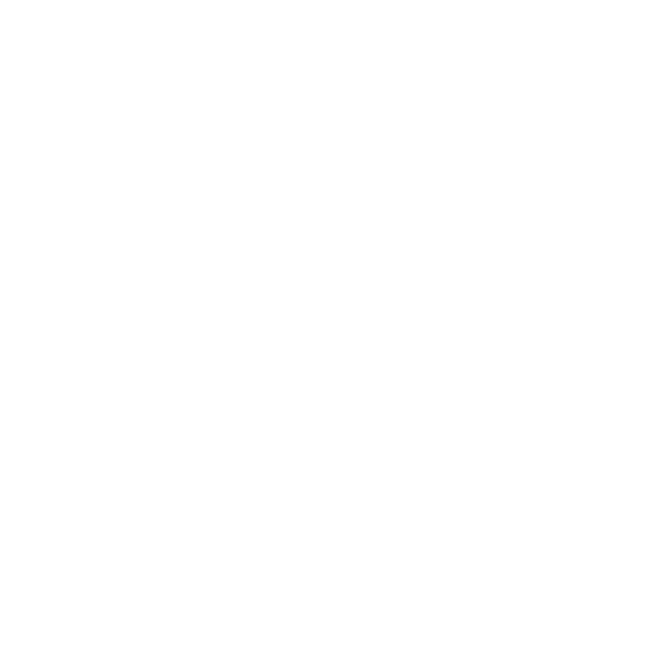 Codex Computer Services