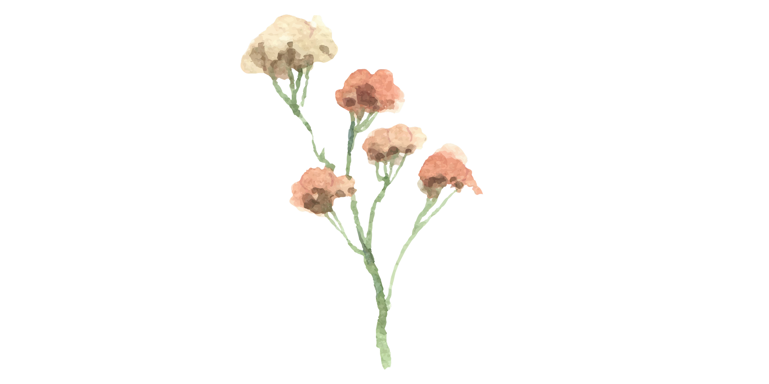 Jamie Wozny | Discover Your True Self Now