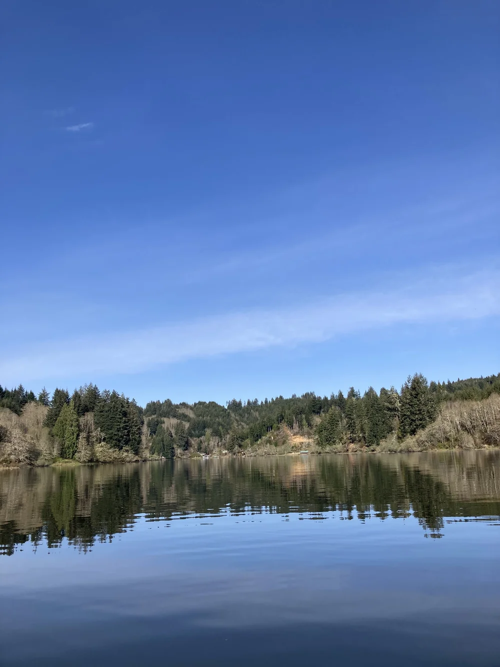 Projects — Tenmile Lakes Basin Partnership