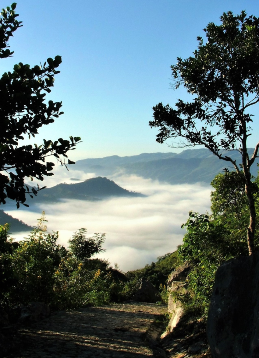 Land Ethic: Foundational Principles — Congregation of the Sisters of St ...