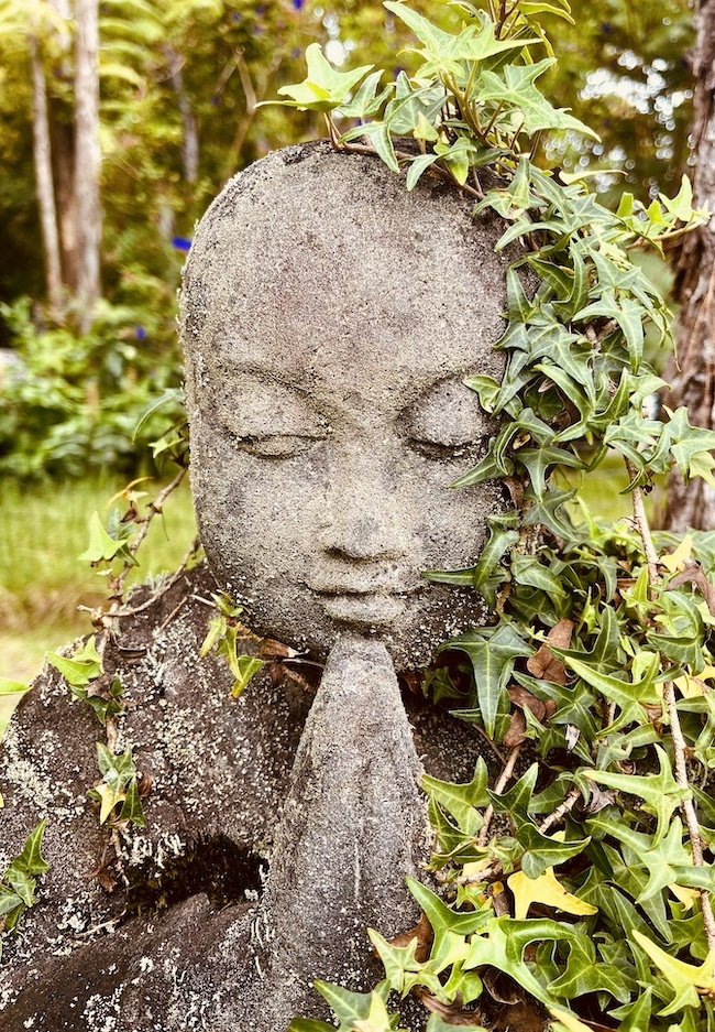 Physical Changes During the Dying Process — La'akea Grief Support