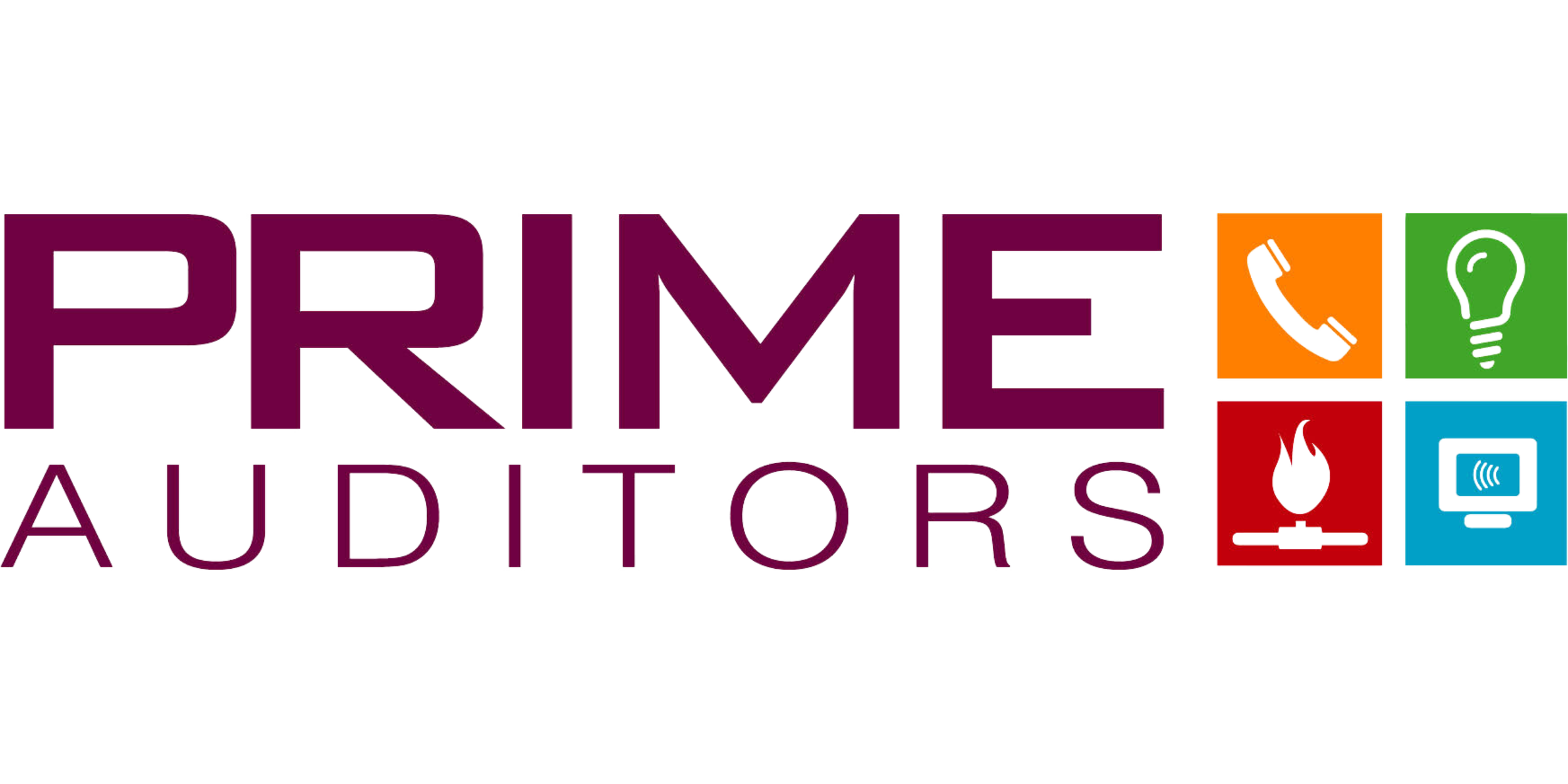 Prime Auditors