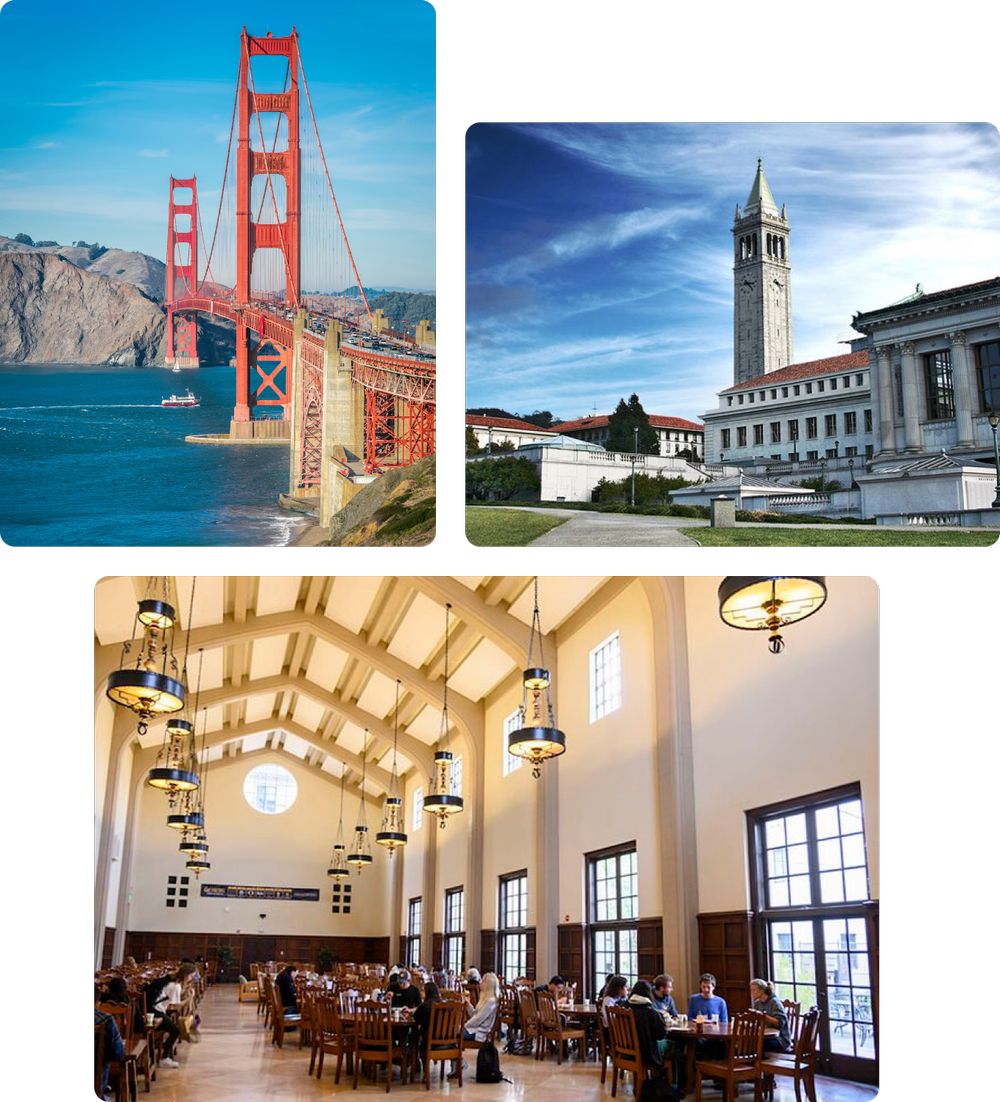 UC Berkeley Summer Academy: VEX AI Robotics & Engineering Immersion by Robolabs | Robolabs: K-12 ...