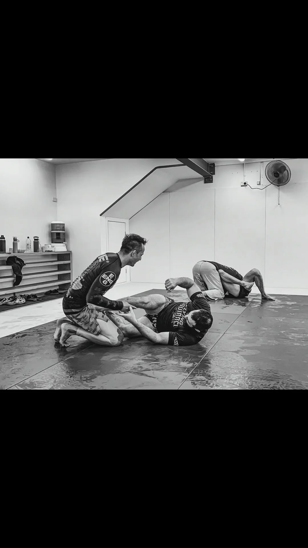Flying Squirrel Jiu-Jitsu