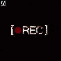 The Emergence of Found Footage in Horror Cinema — Christina Escamilla