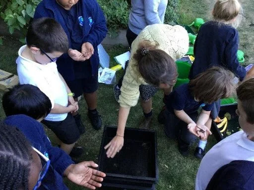 Schools — Global Generation