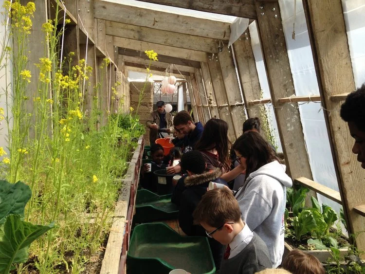 skip garden — Global Generation