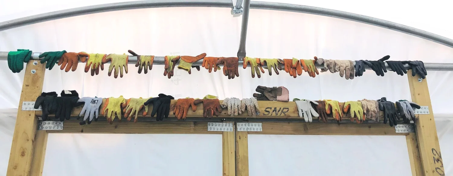 Home — Global Generation