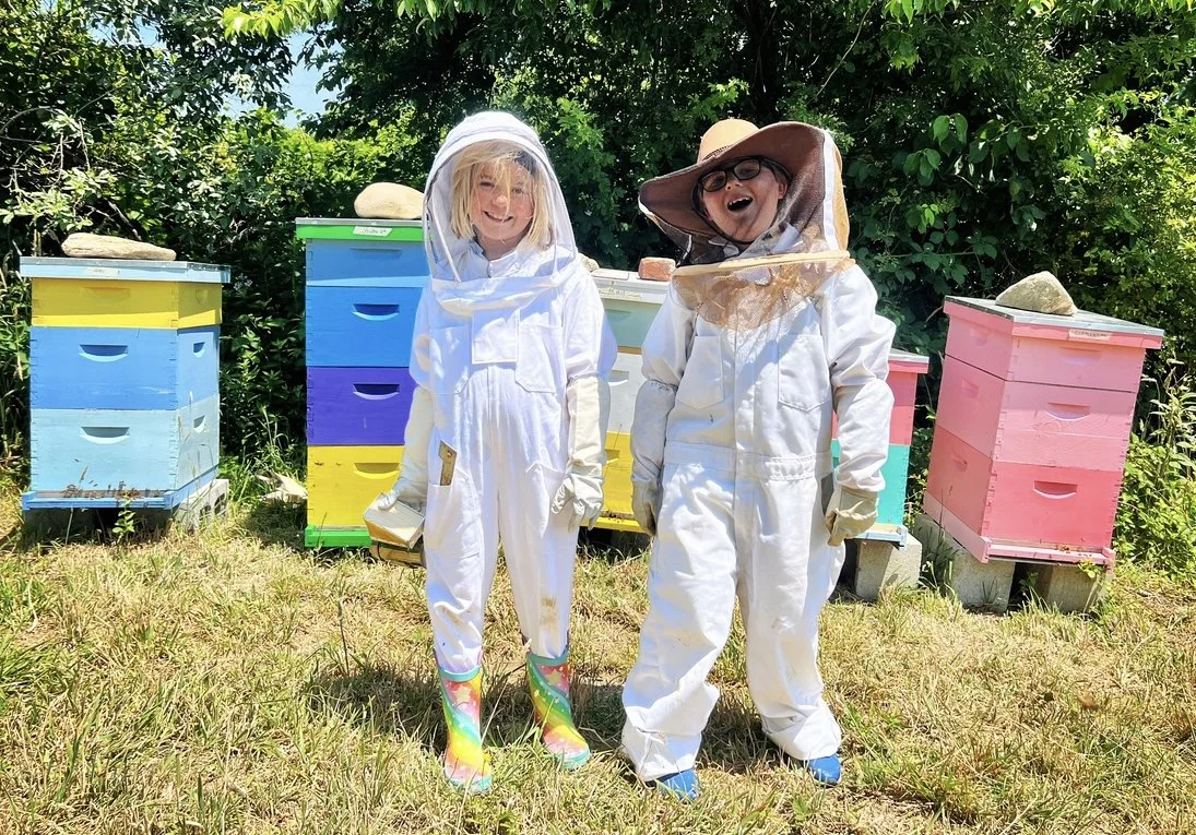 bee camp — Bodhi's Bees