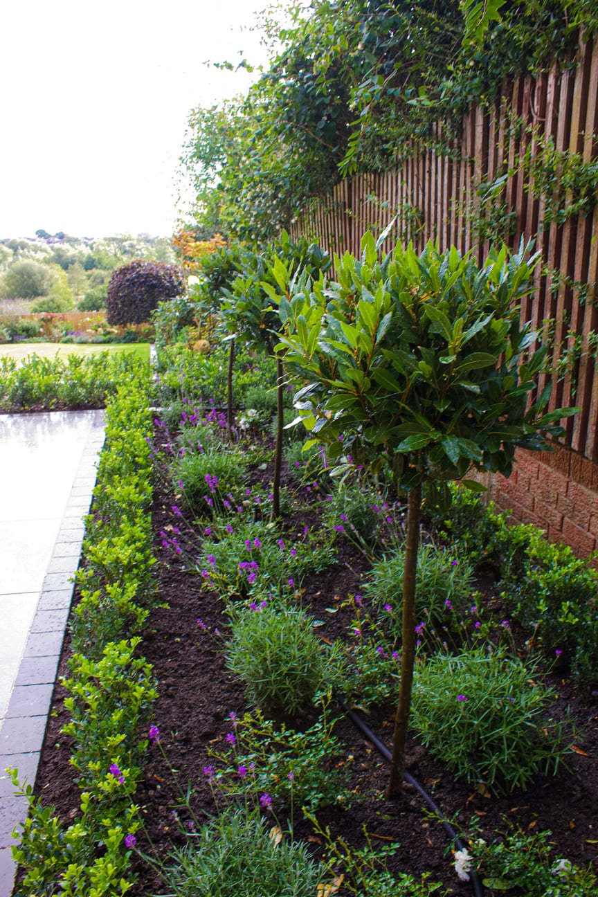 The Handbridge Project — Walker Landscape & Design