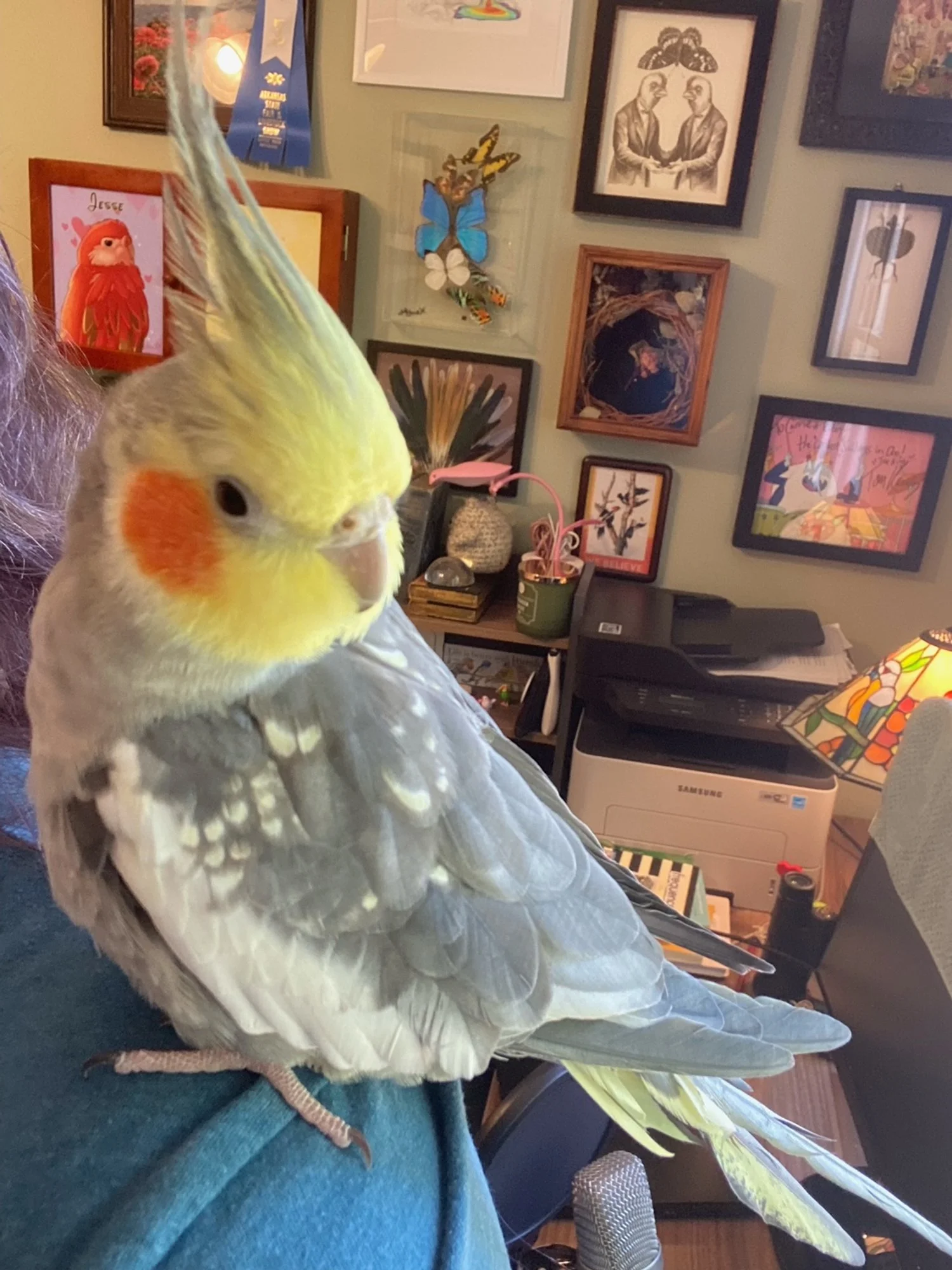 About — Carrie Lee South