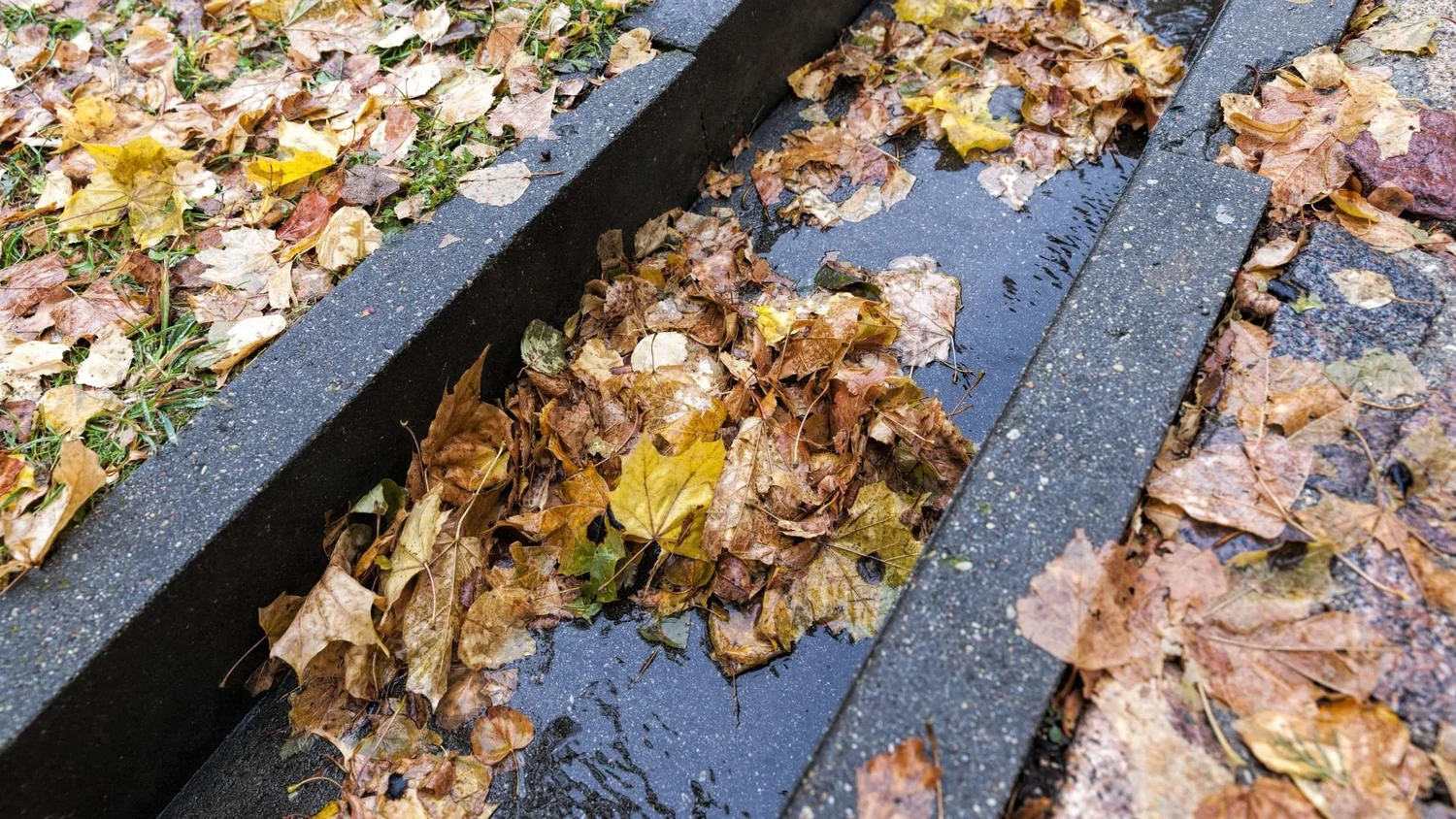 The Role of Landscaping in Stormwater Management — Ground FX ...
