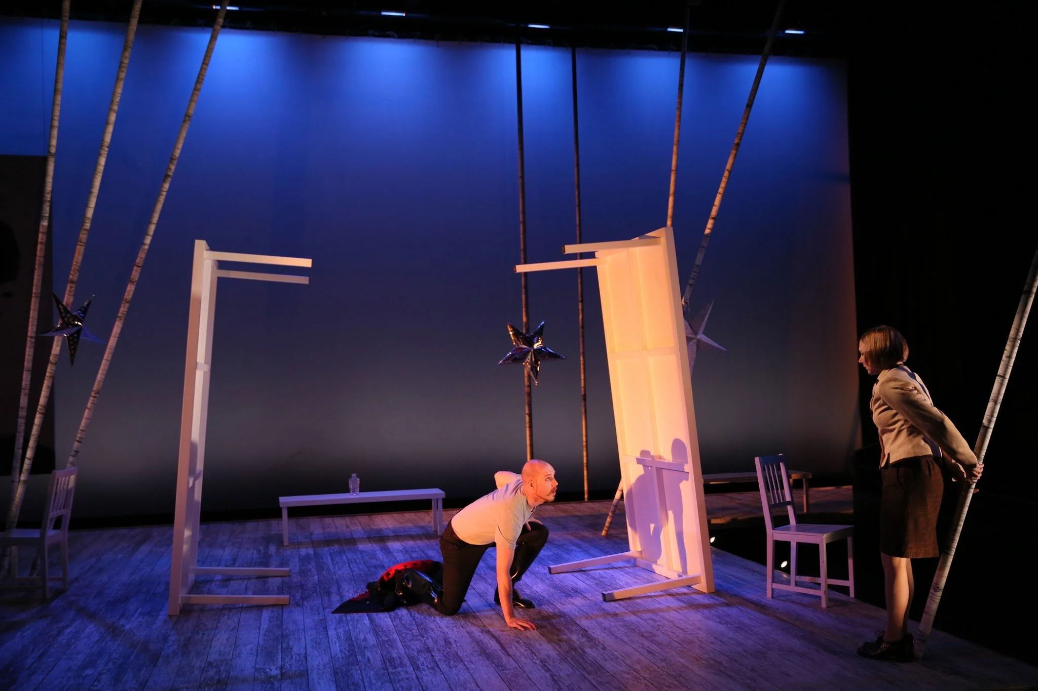 The Seagull Project — The Seagull Project