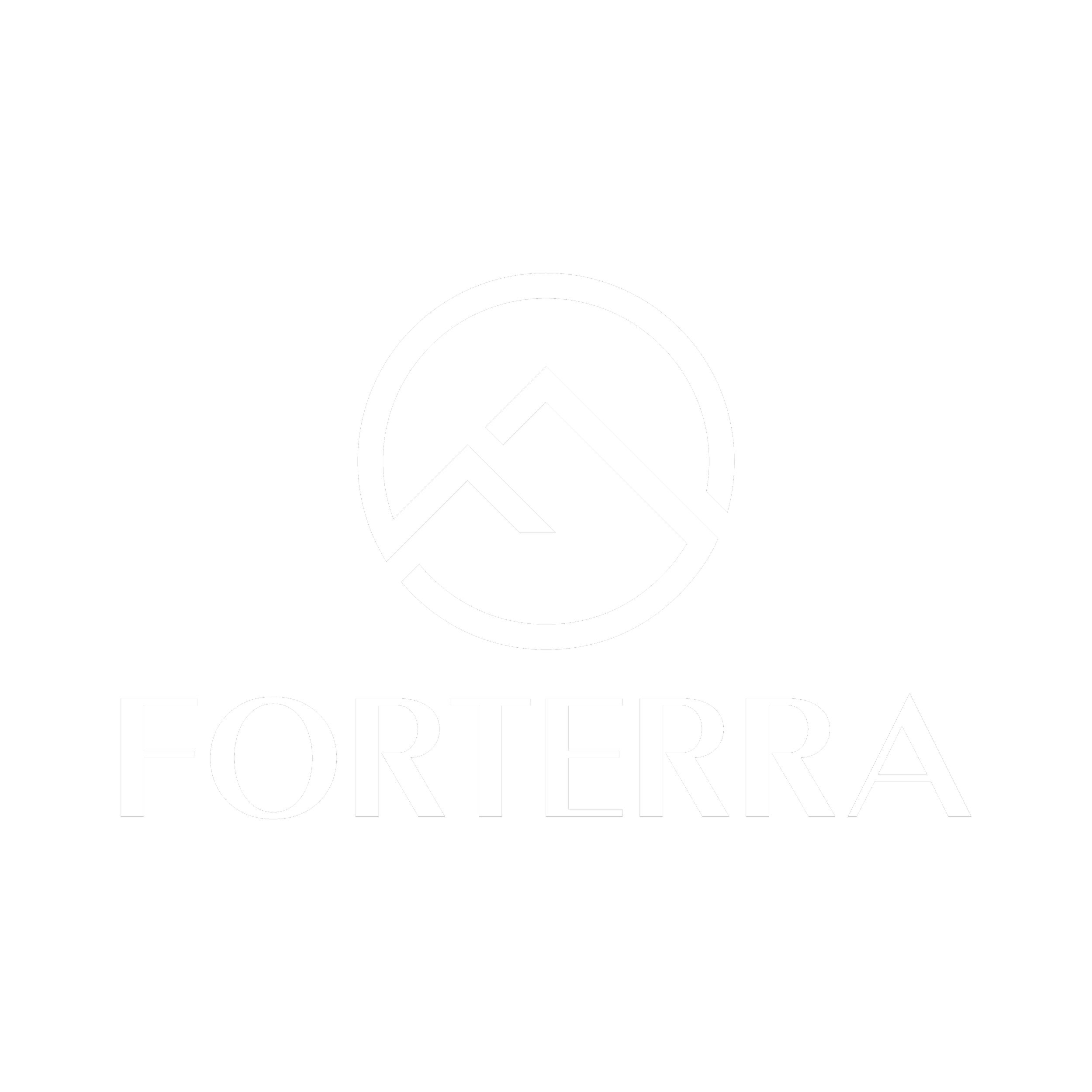 Investment Process — Forterra Investment Management