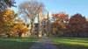 University of Michigan Supplemental Essays (2025–2026) — Real College ...