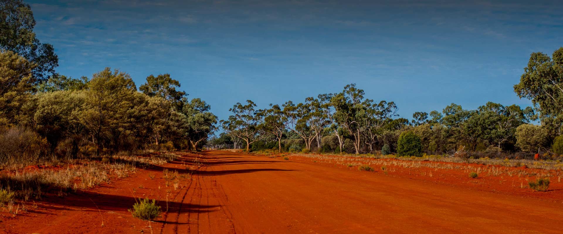 SERVICES — Tarni Resources