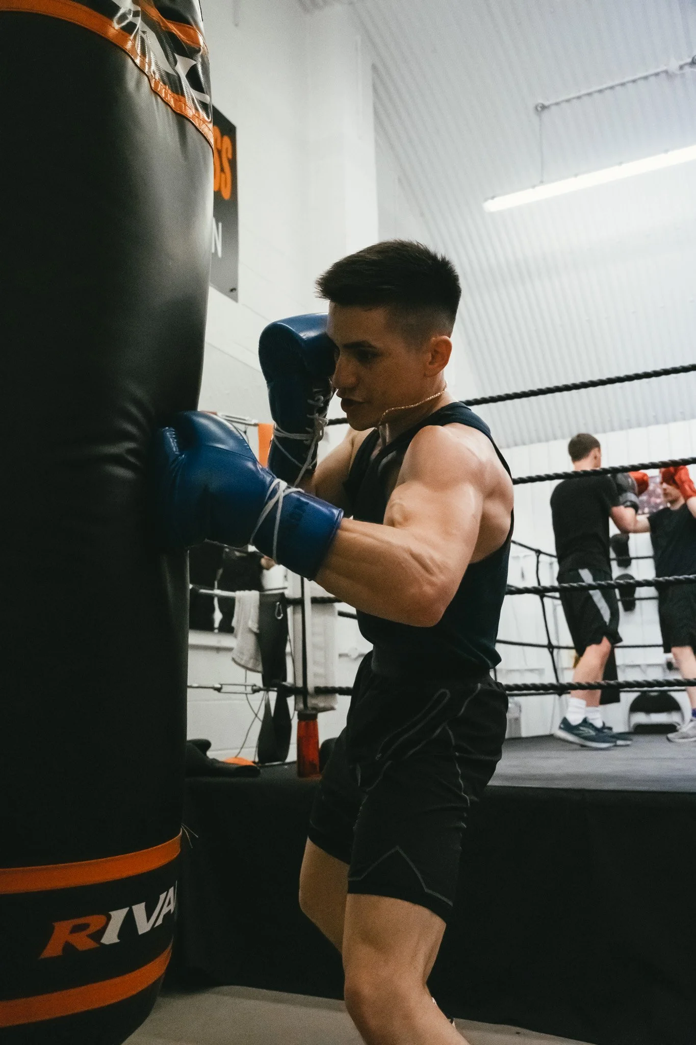Pro Boxing — Relentless Boxing