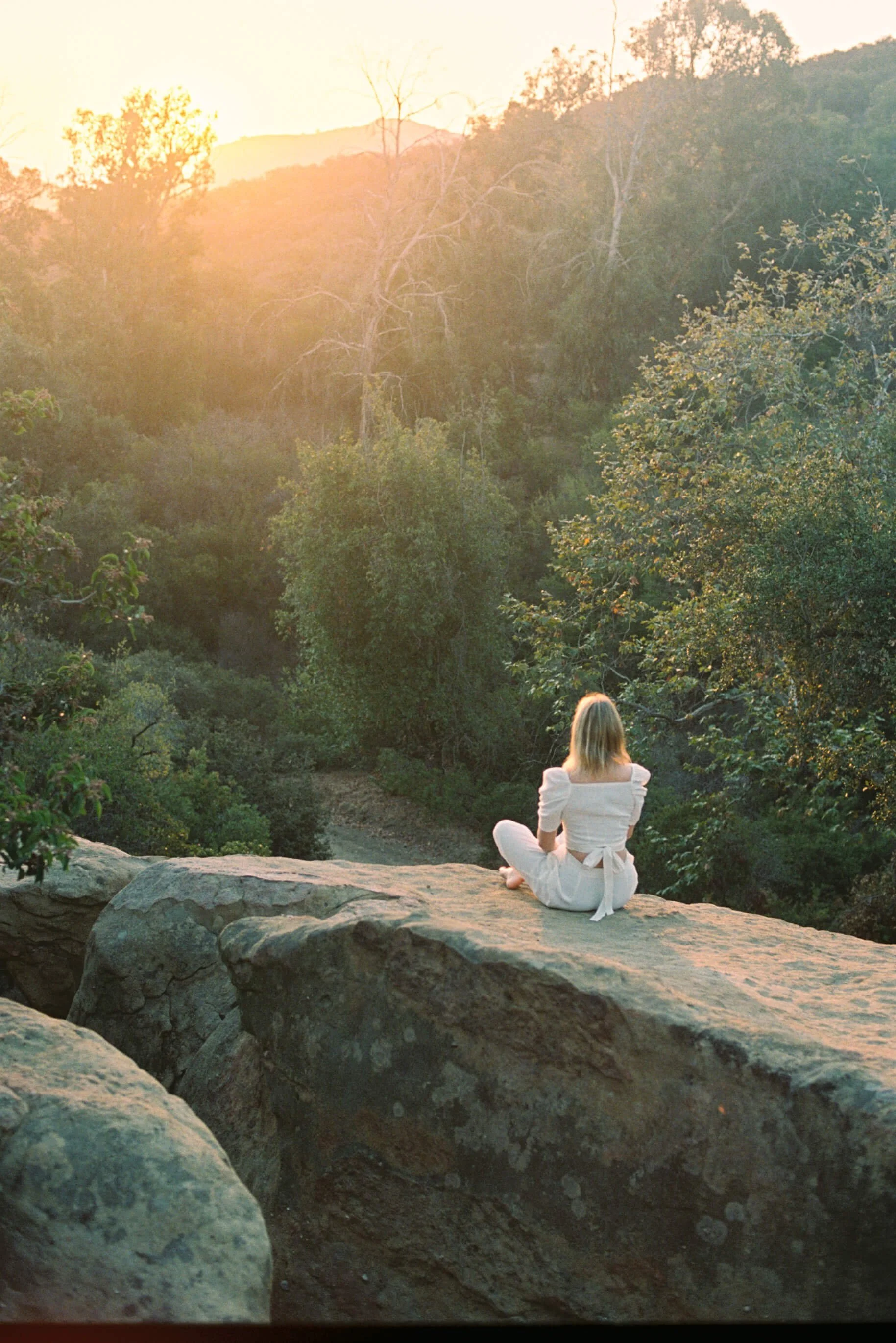 Rose Goodman Acupuncture Retreats Topanga