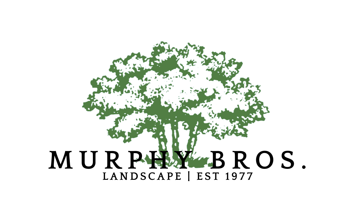 Services — Murphy Bros. Landscape