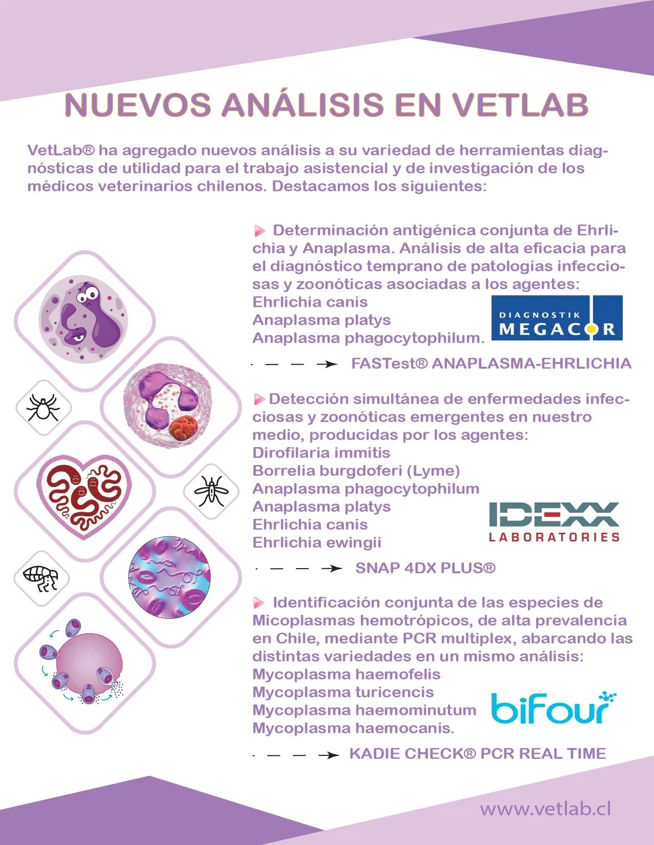 Nuevos AnÁlisis En Vetlab — Vetlab