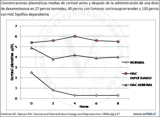 Función Suprarrenal — VetLab
