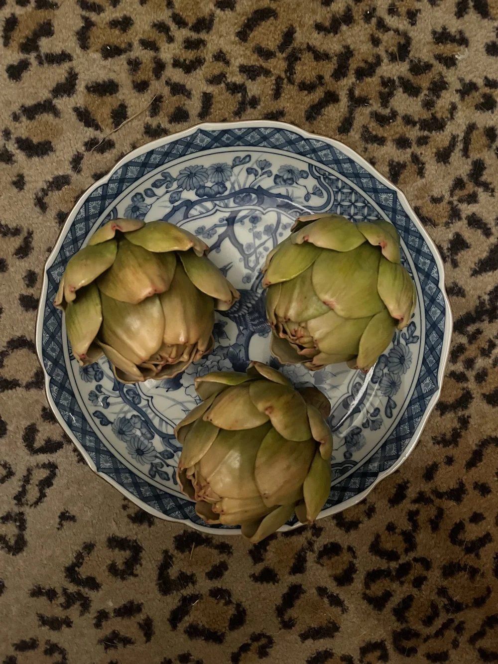 Exhibitors — First Coast Design Show