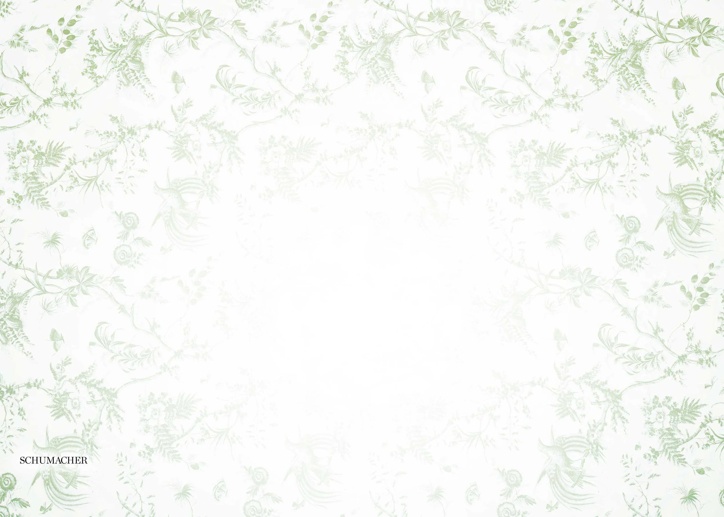 Impact — First Coast Design Show