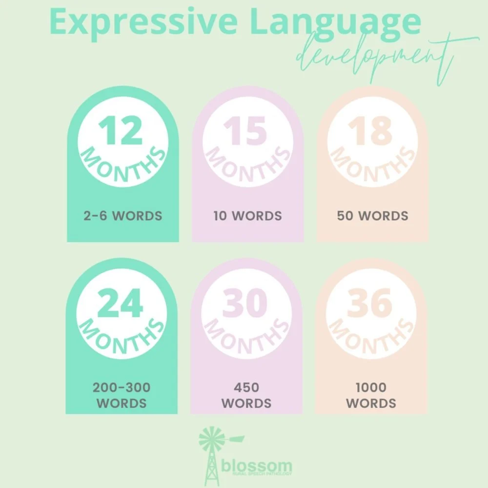 How many words should my child be using? — Blossom Rural