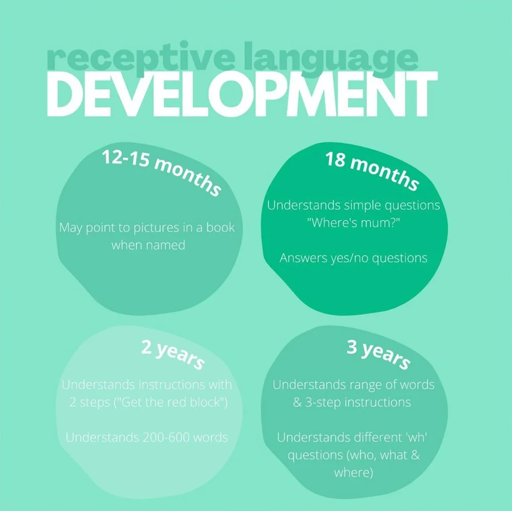 Receptive Language — Blossom Rural