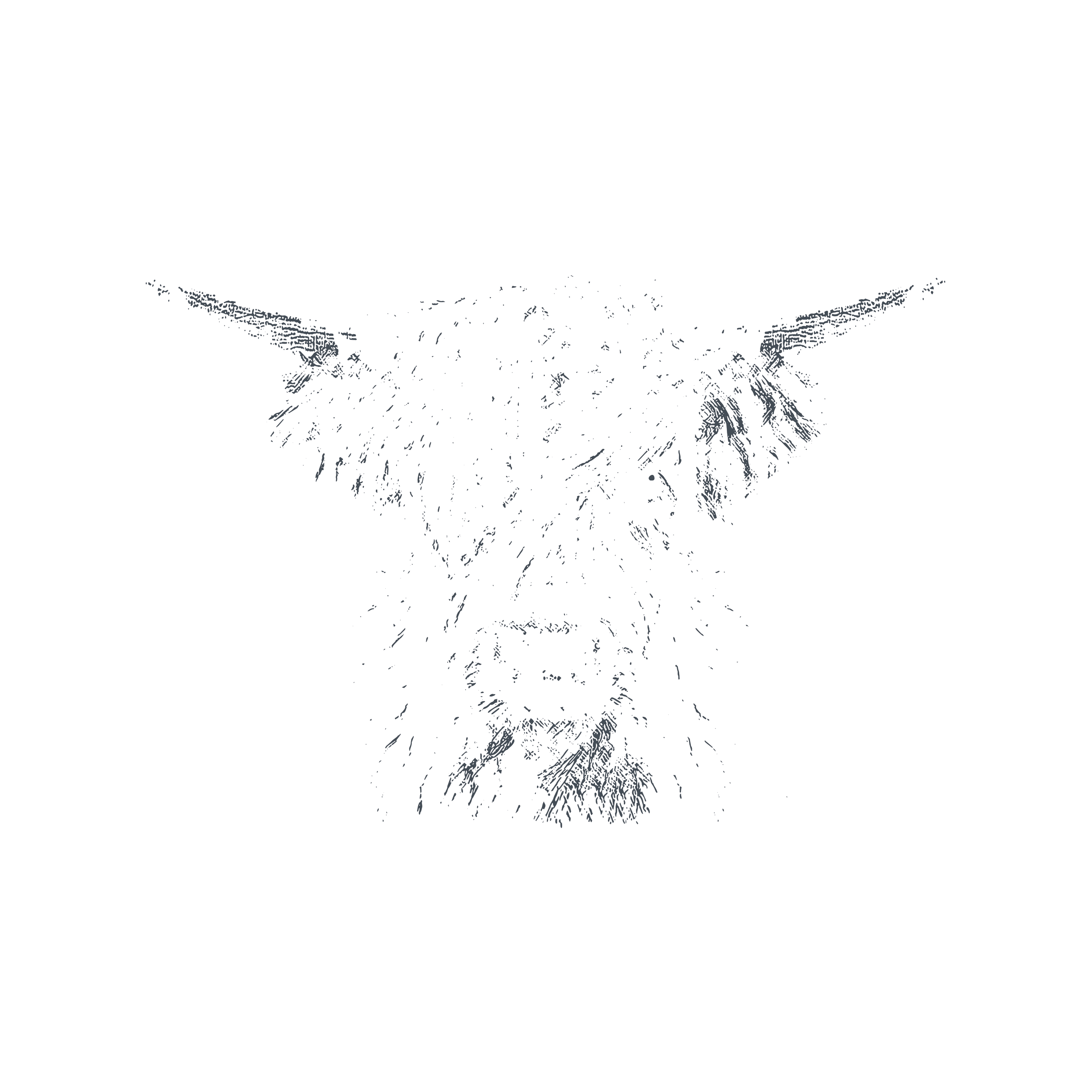 The Fancy Cow - Friendly Italian Dining in Marlborough