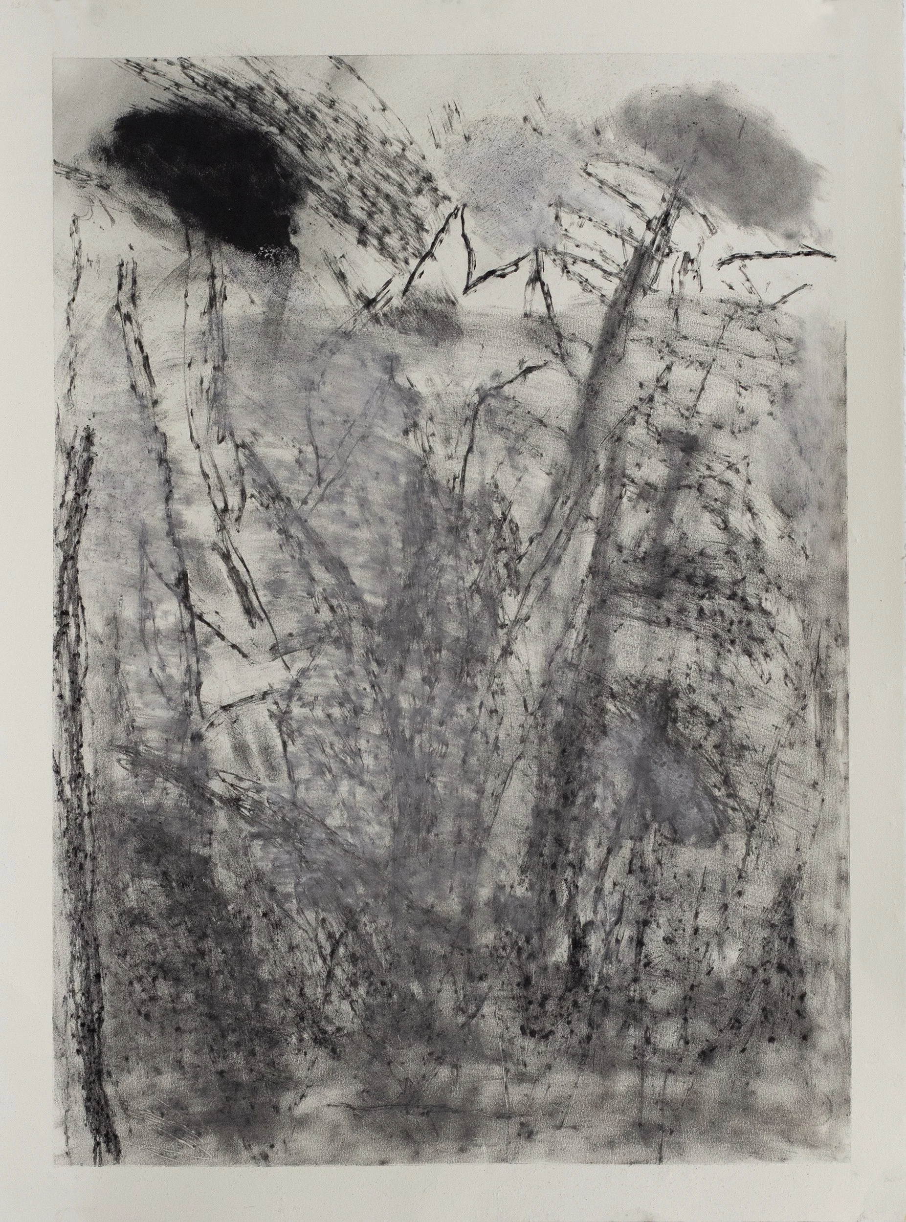 2021 — Matt Coombs