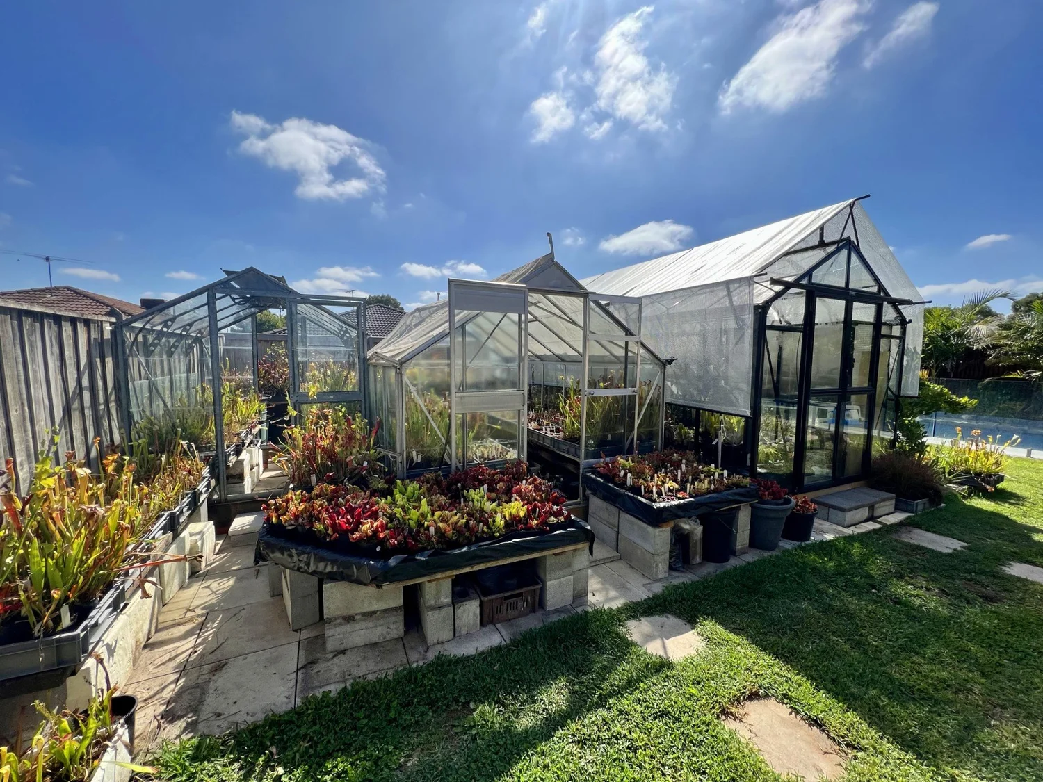 Unlocking the magic of greenhouses: How to create one in your backyard ...