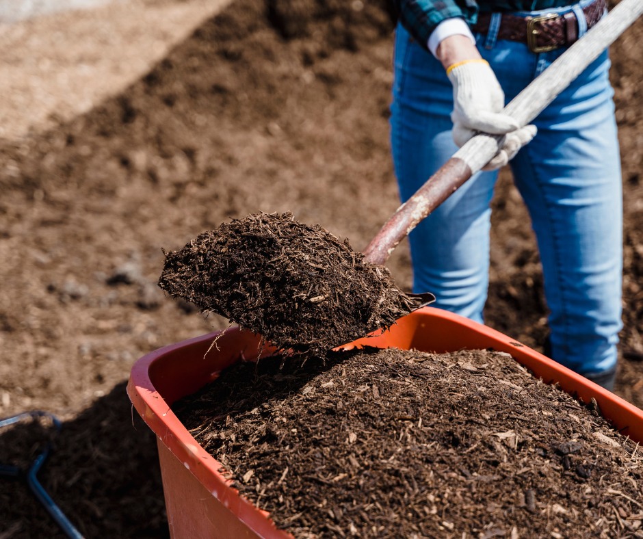 5 reasons to start composting — The Garden Hustle