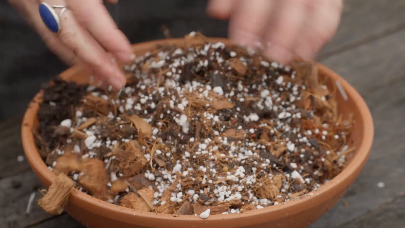 DIY Potting Mix for Thriving Indoor Plants — The Garden Hustle