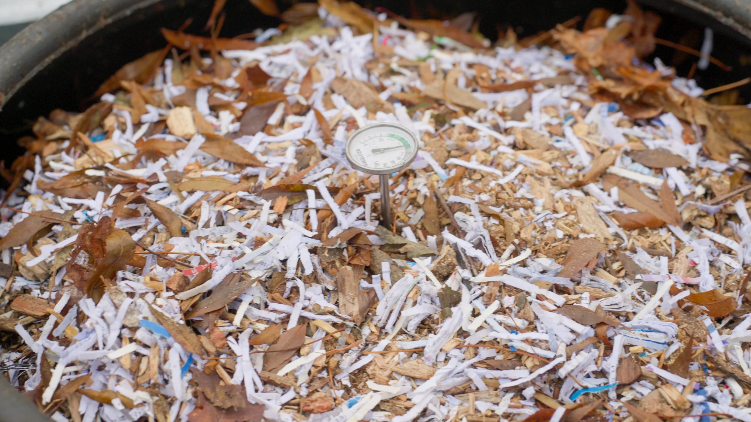 Food waste into garden gold: Essential composting tips for greener ...