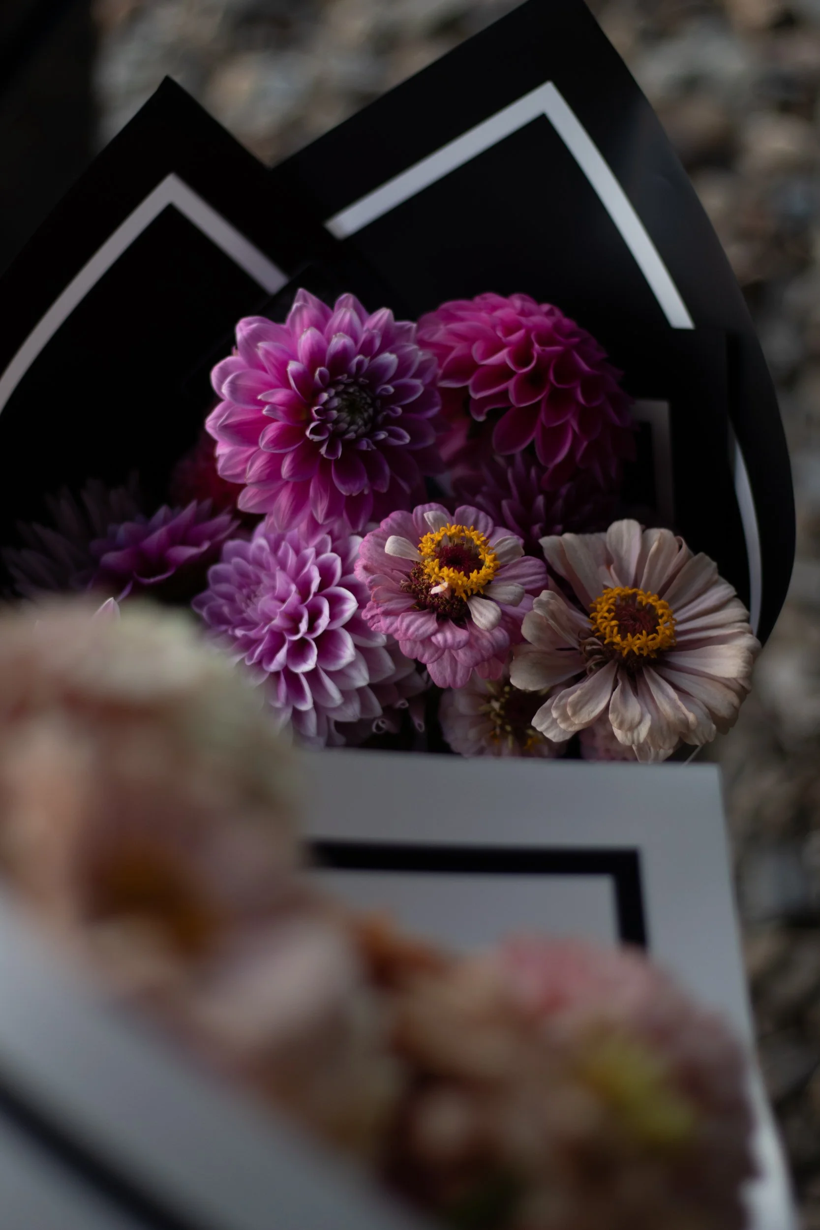 TWYLLO — Farm Shop | Fresh Flowers Canberra | Twyllo Farm Shop