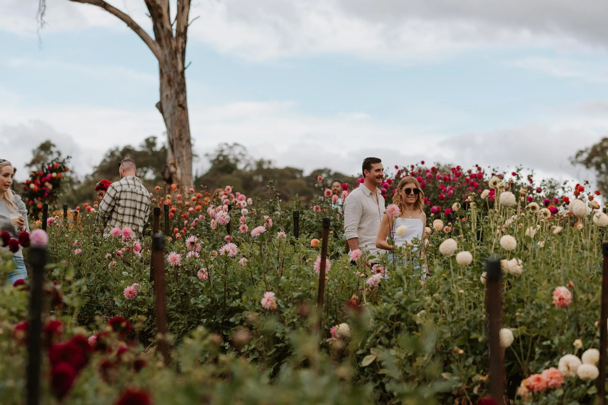 Twyllo Flower Farm