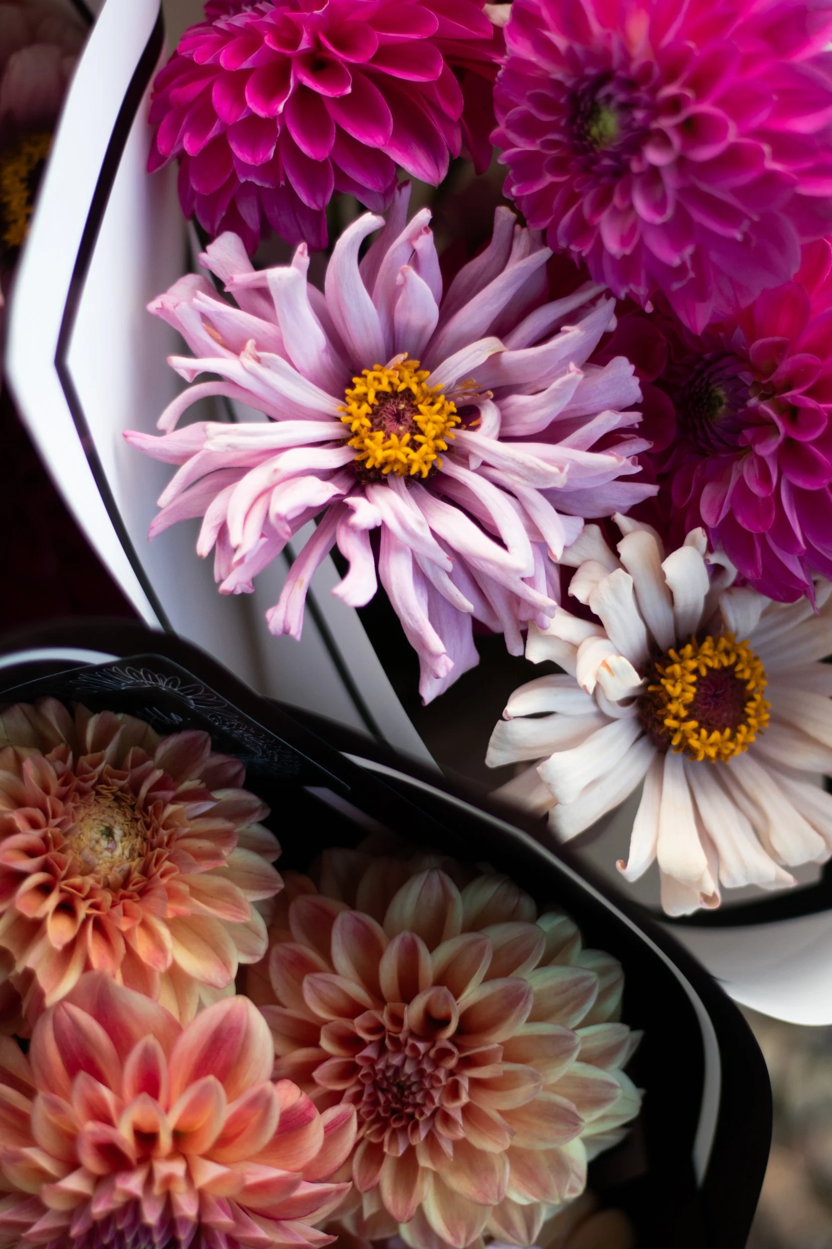 TWYLLO FLOWER FARM — Store 2