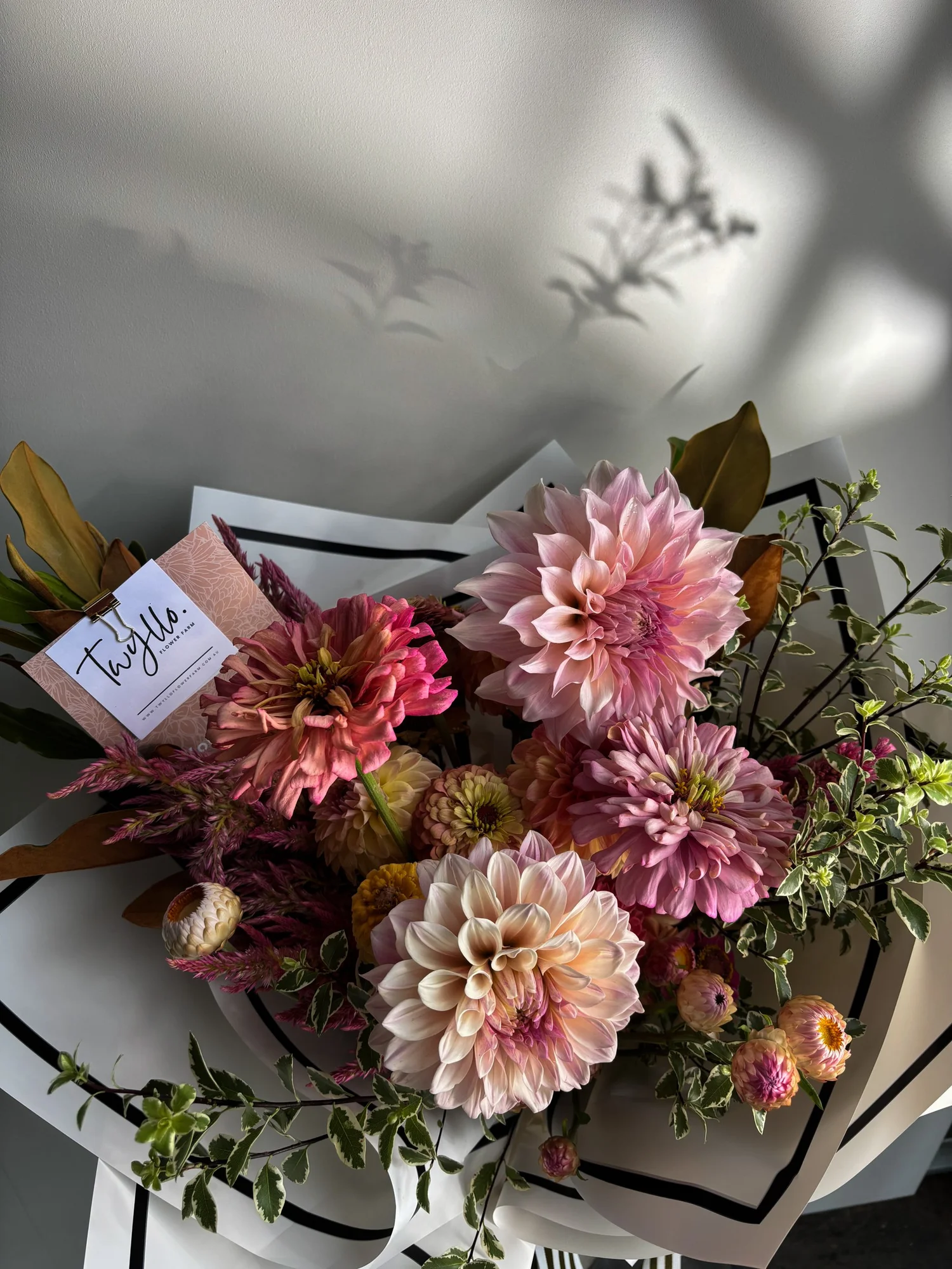 TWYLLO — Farm Shop | Fresh Flowers Canberra | Twyllo Farm Shop