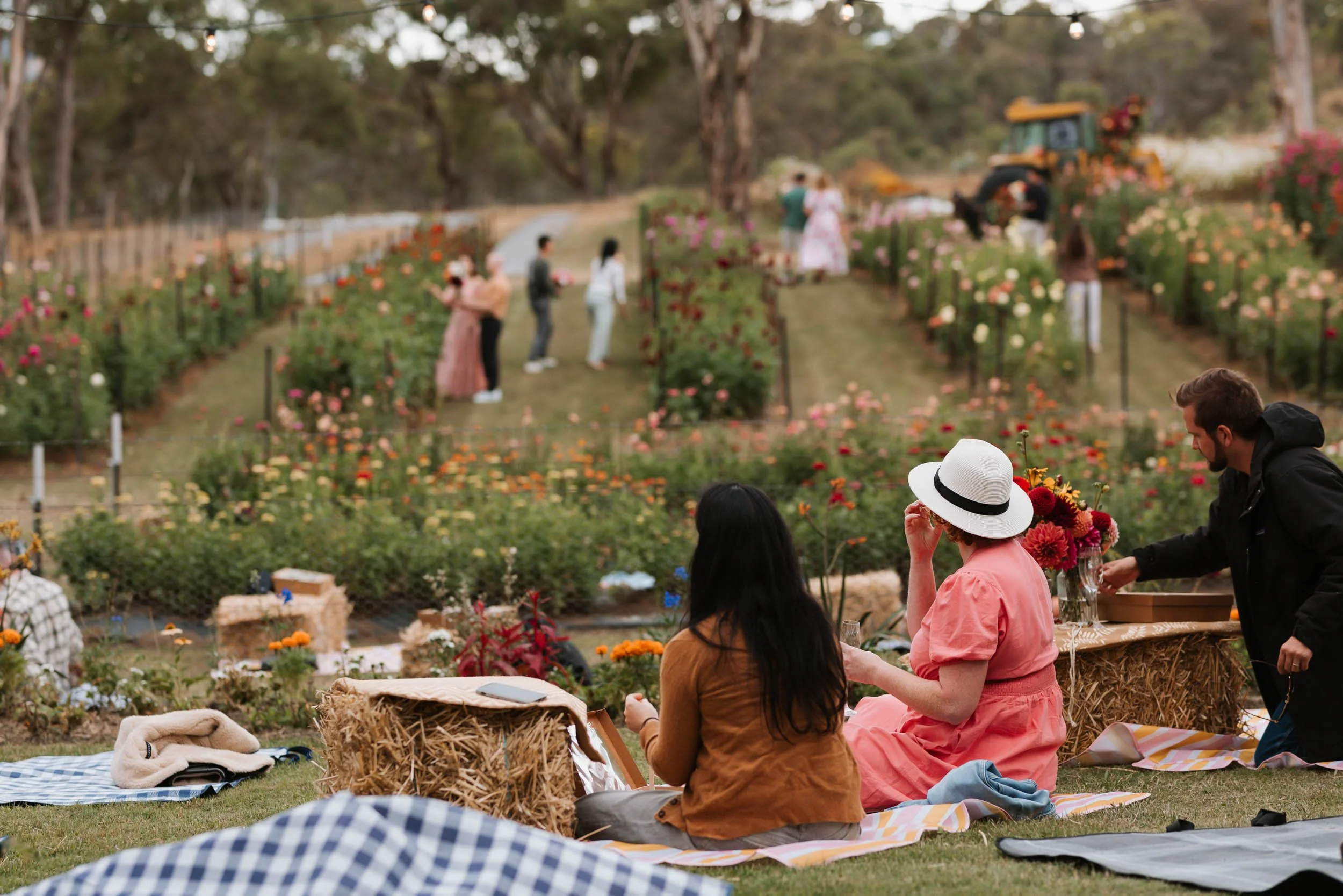 Twyllo Flower Farm