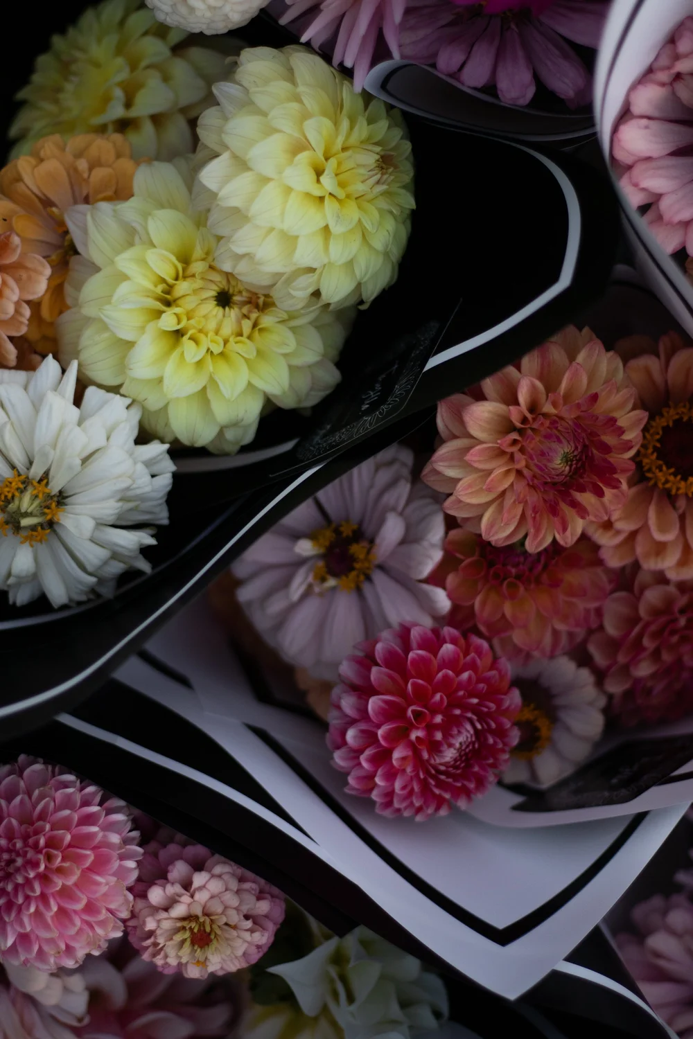 TWYLLO — Farm Shop | Fresh Flowers Canberra | Twyllo Farm Shop