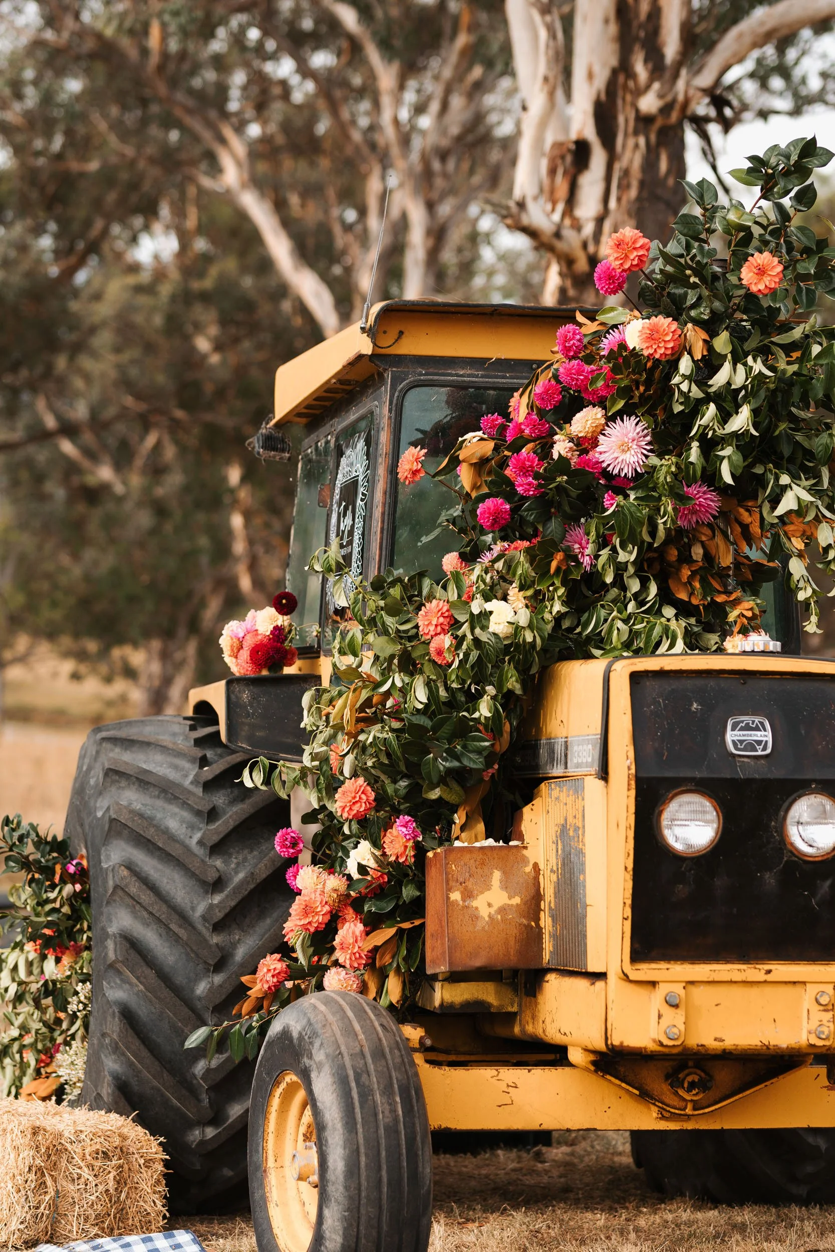 Twyllo Flower Farm