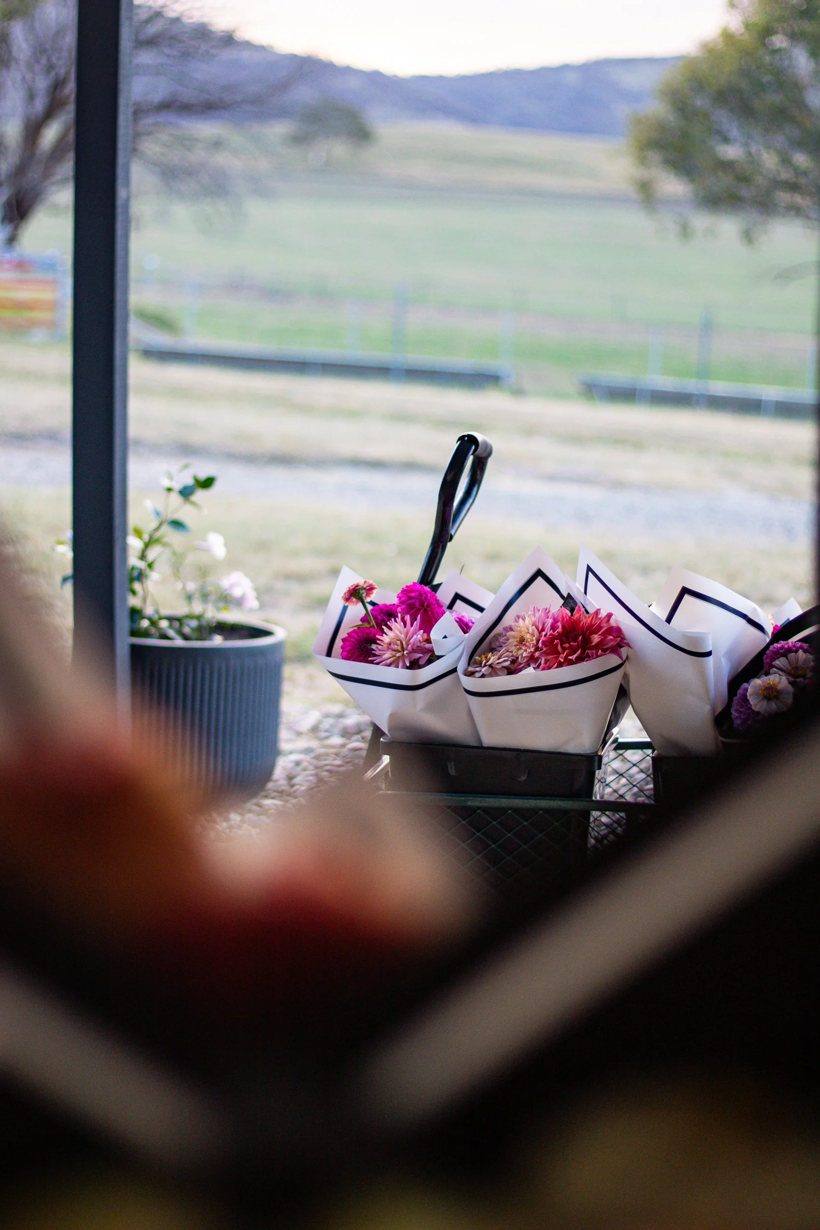 TWYLLO — Farm Shop | Fresh Flowers Canberra | Twyllo Farm Shop