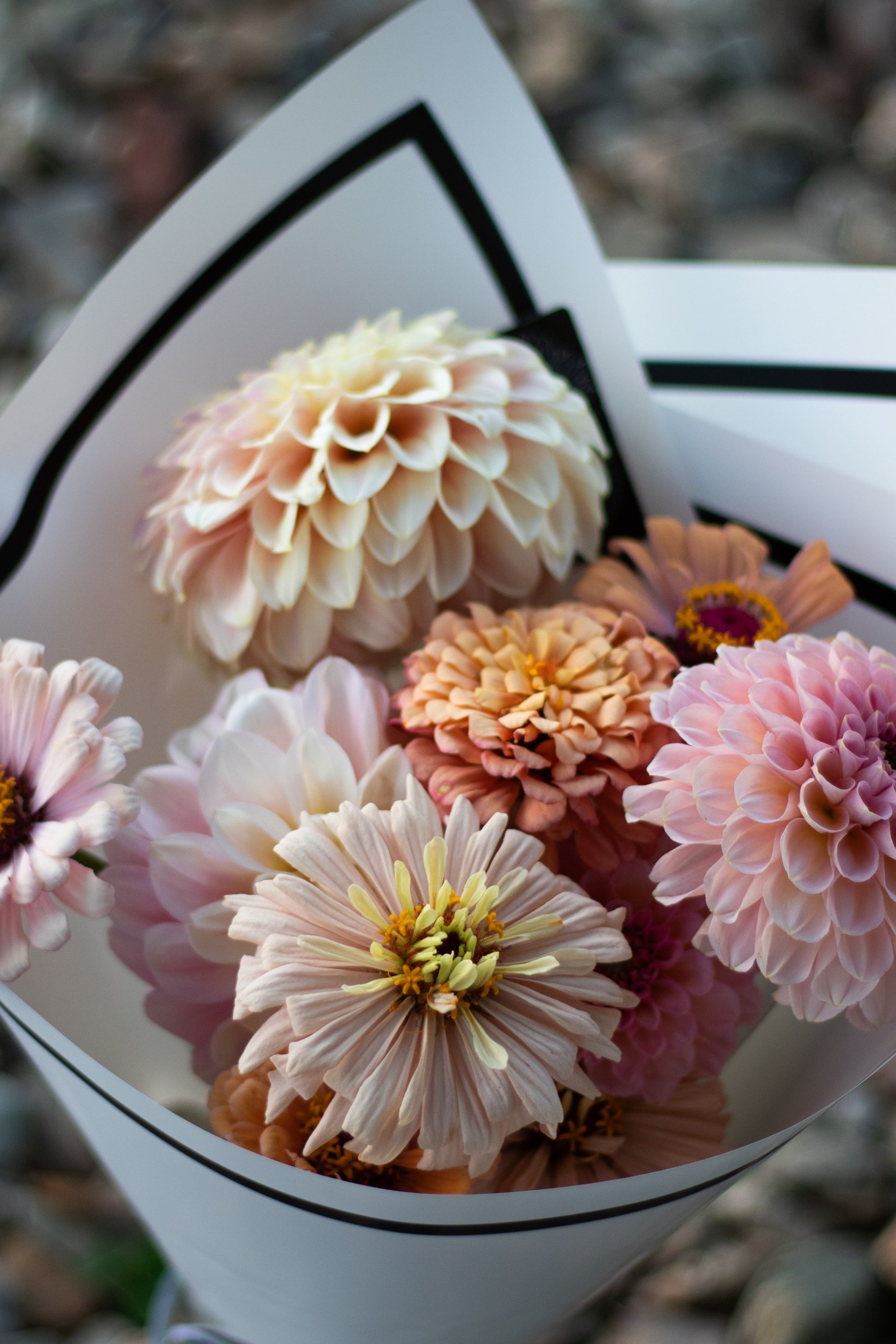 TWYLLO FLOWER FARM — Store 2