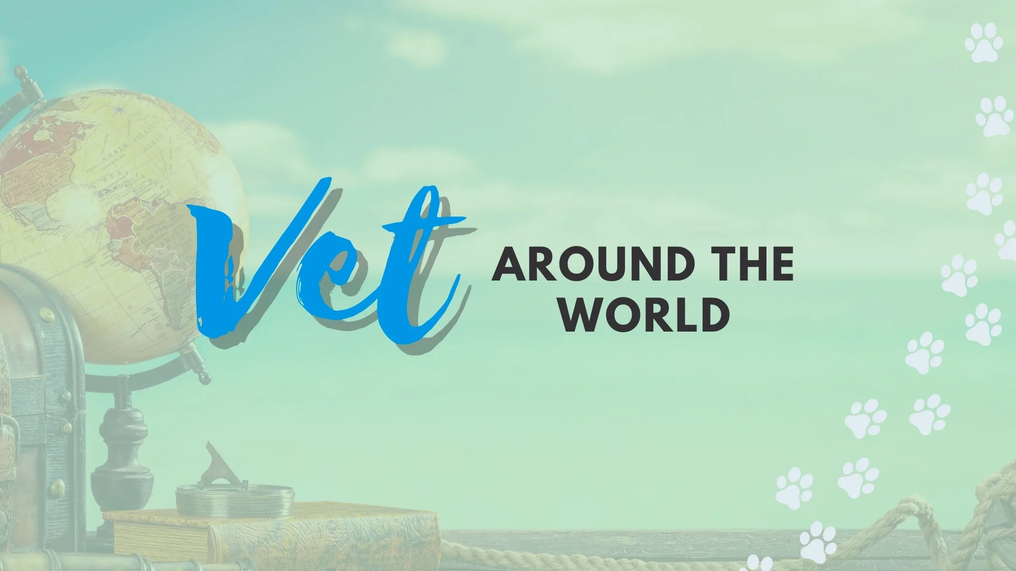 Vet Around the World - who we are and why we love pets and travel — Vet ...