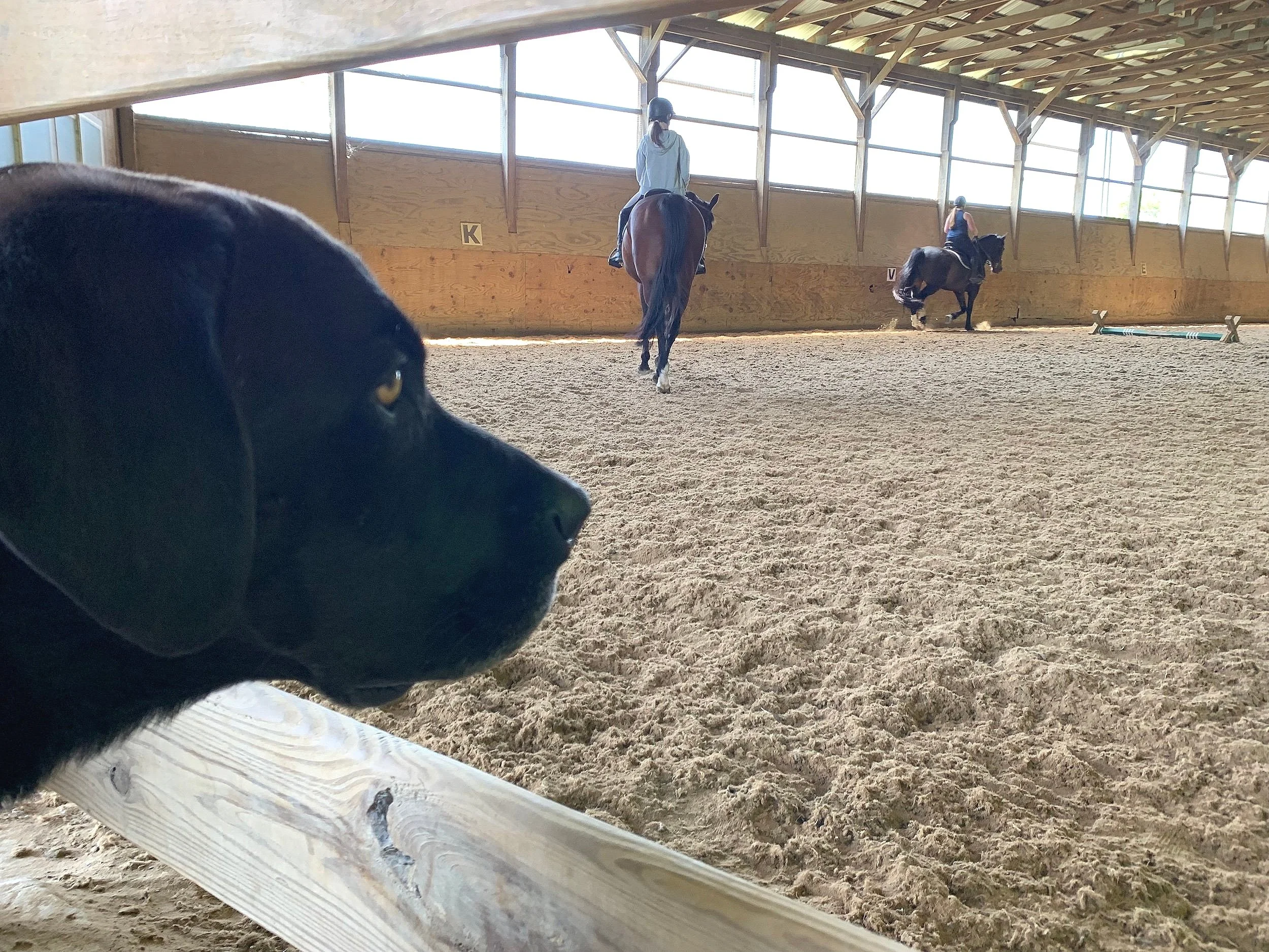 Services and Facilities — Standing Ovation Equestrian Center