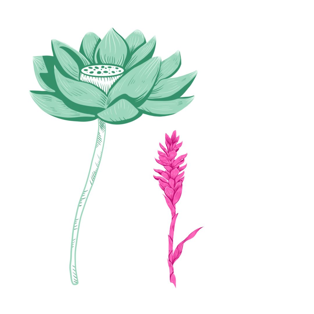 About — ESEA Heritage Month