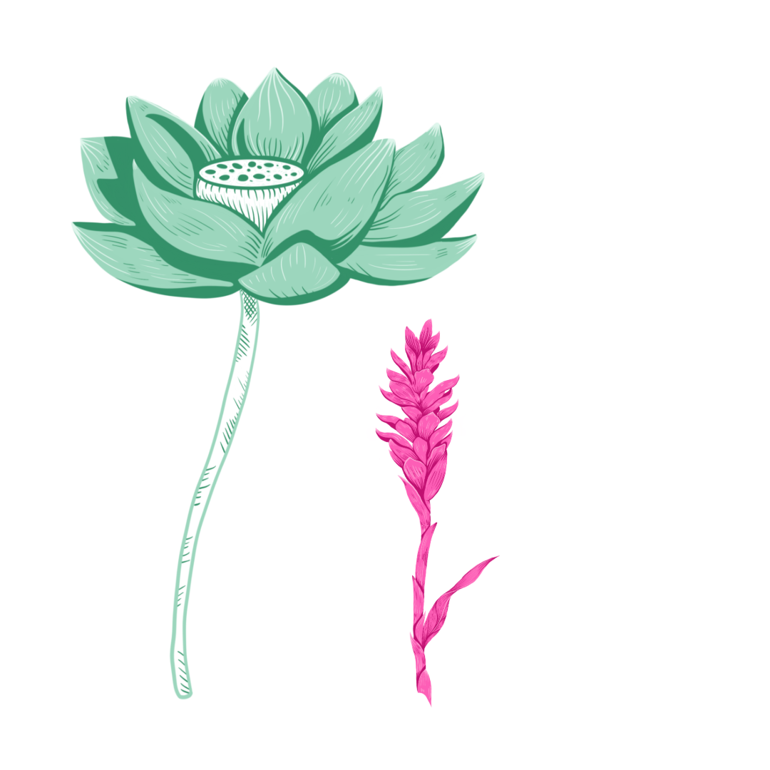 About — ESEA Heritage Month