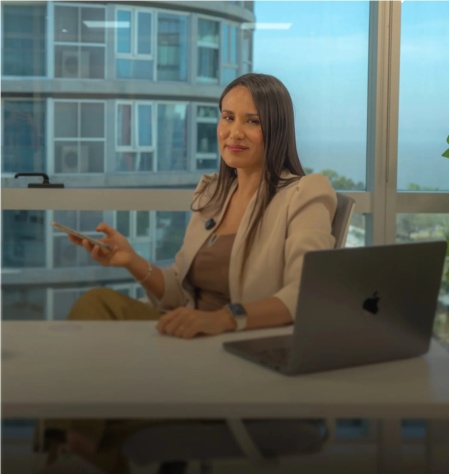Mujer Financiera