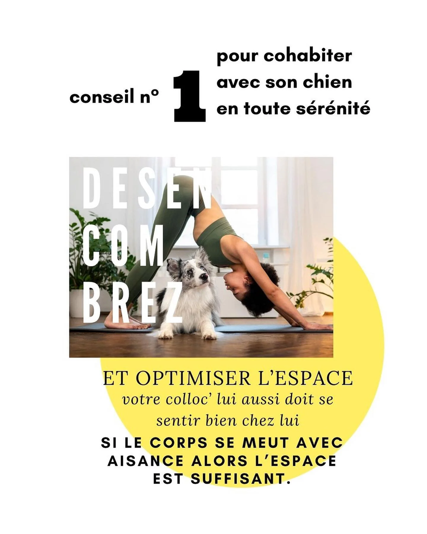 fabienne degals décoratrice architecte d'intérieur paris